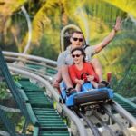 Ba Na Hills & Golden Bridge Tour from Da Nang - The Experience: What You Can Expect