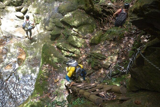 Bach Ma National Park Discovery Full Day Group Tour From Hue - Visiting Do Quyen Waterfall