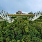 Bach Ma National Park Trekking Tour With Do Quyen Waterfall - What Makes This Tour Stand Out?