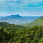 Bach Ma Trekking Tour from Da Nang/ Hue - Authentic Experiences and Cautions