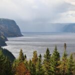 Back Country of the Fjord and the National Park - An In-Depth Look at the Tour Experience