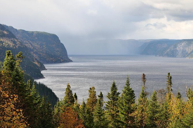 Back Country of the Fjord and the National Park - An In-Depth Look at the Tour Experience