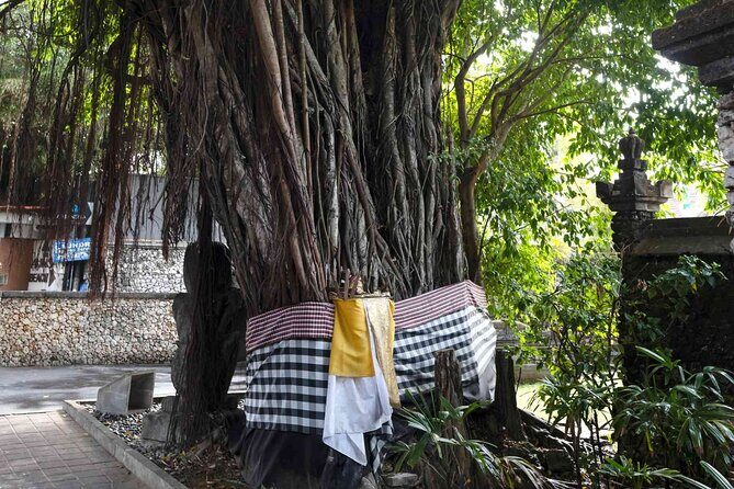 Backlanes and Hidden Sites: A Self-Guided Audio Tour in Seminyak - The Experience: What to Expect