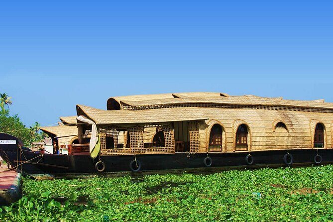 Backwaters Houseboat Cruise in Aleppey with Lunch from Cochin - Private Tour - The Duration and Comfort Level