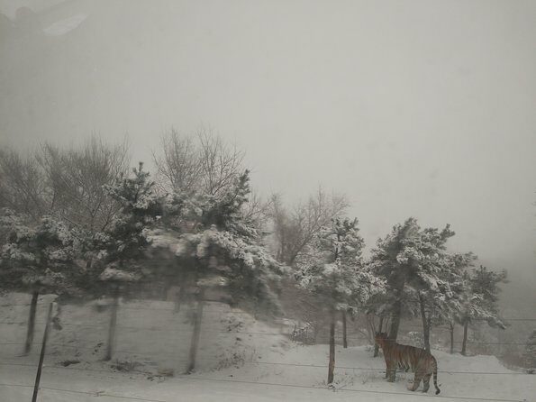 Badaling Wildlife World Private Tour from Beijing - FAQ