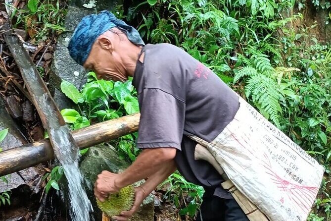 Baduy Tribal Tracker and Village in Private Tour Full Day & Lunch - Breakdown of the Itinerary