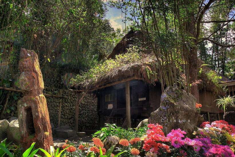 Baguio Country Side Tour - Transportation and Logistics