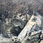 Bahías Experience with a visit to La India Beach - Exploring Huatulco’s Bays from the Water