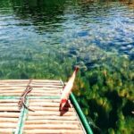 Bai Dinh Pagoda - Trang An Eco Full Day from Hanoi - Deep Dive into Logistics and Experience