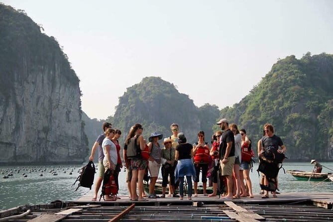 Bai Tu Long Bay Day Trip - A Closer Look at the Bai Tu Long Bay Day Trip Experience