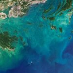 Bai Tu Long Bay Sail Away in 2D1N - What Makes This Tour Stand Out