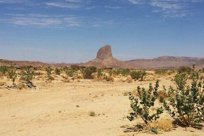 Baja Desert and Beach Electric Bike Adventure with Buffet - Final Thoughts – Who Will Love This?