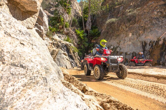 Baja Outback ATV Adventure - The Value Proposition: Is It Worth It?