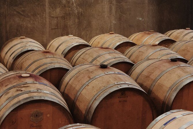 Baja Tour Guide wine tour - The Itinerary Breakdown: What to Expect