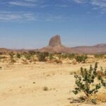 Baja UTV Adventure Canyon Exploration and Tequila Tasting - What to Expect: Practical Details