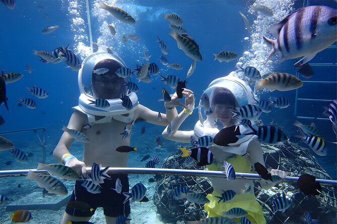 Bali Activity: Bali Sea Walking in Nusa Dua Ocean - Practical Tips for Participants