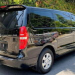Bali Airport Transfer Check in or Check out Ubud Area Luxury Car - Who Is This Transfer Best For?