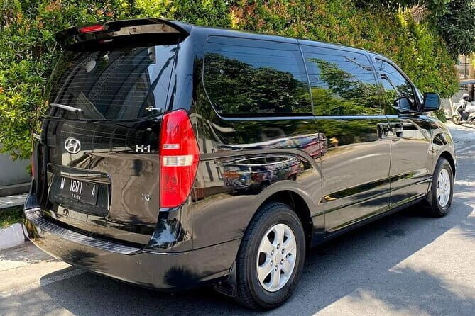 Bali Airport Transfer Check in or Check out Ubud Area Luxury Car - Who Is This Transfer Best For?