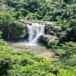 Bali Art Shopping and Culture Tour - Authenticity and Quality in Focus