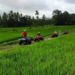 Bali ATV Ride tour Ubud - Final Thoughts