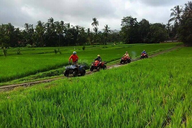 Bali ATV Ride tour Ubud - Final Thoughts