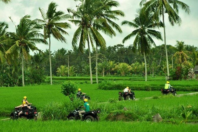 Bali ATV Ride Ubud Jungle Track - What the Reviews Say