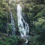 Bali: Bedugul Temple, Banyumala Waterfall, UNESCO Rice Terrace - Who Is This Tour Best For?