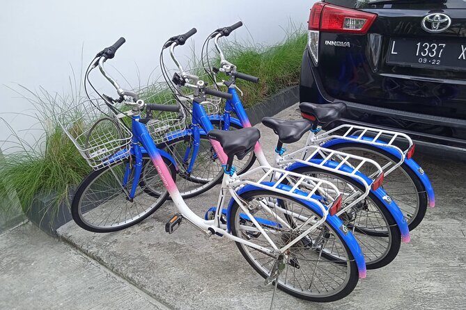 Bali Bicycle Rental - Authentic Experience and Value