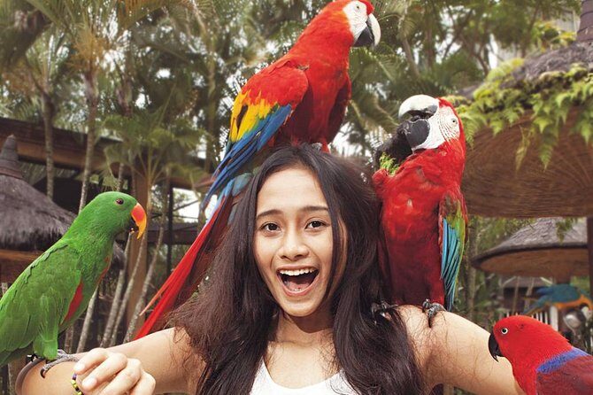 Bali Bird Park Entrance Tickets - The Full Itinerary Breakdown