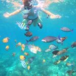 Bali Blue Lagoon Snorkeling with Optional Sightseeing - What to Expect from the Bali Blue Lagoon Snorkeling Tour