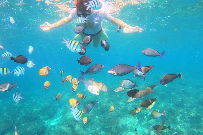 Bali Blue Lagoon Snorkeling with Optional Sightseeing - What to Expect from the Bali Blue Lagoon Snorkeling Tour