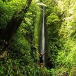 Bali Breathtaking Adventure: Arjuna Gorge Walk - Why This Tour Stands Out