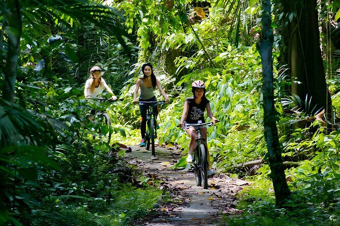 Bali Buggy and Ayung Rafting Packages - Who Will Love This Adventure?