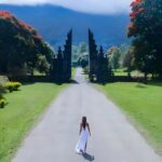 Bali Car-Charter: Amazing North Bali Tour - Practical Details and What You Should Know