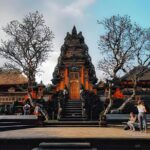 Bali Car-Charter: Half Day Ubud Village Tour - Transportation and Logistics