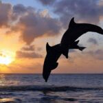 Bali Car Charter with English Speaking Driver - Who Will Love This Tour?