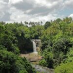 Bali Classic Volkswagen Safari and Ubud Village Tour - Practical Aspects of the Tour