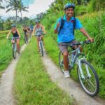 Bali Countryside Cycling Tours - What Travelers Are Saying