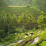 Bali Customized Private Tour - FAQs