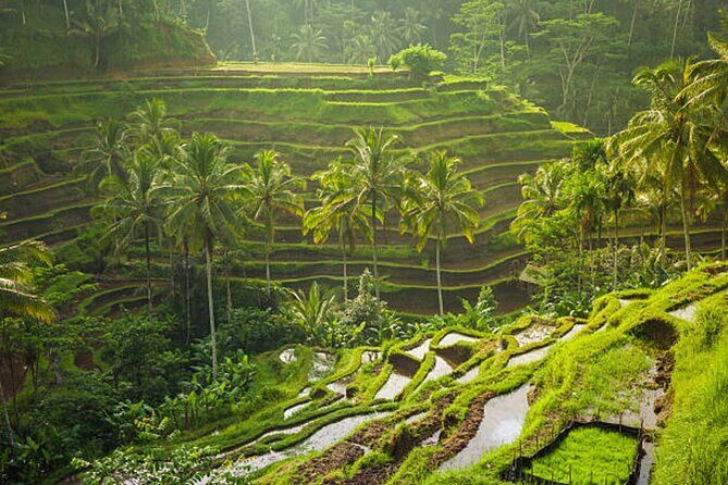 Bali Customized Private Tour - FAQs