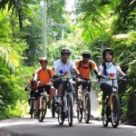 Bali Cycling and Jungle Swing Adventure Experience - Who Will Love This Tour?