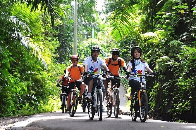 Bali Cycling and Jungle Swing Adventure Experience - Who Will Love This Tour?