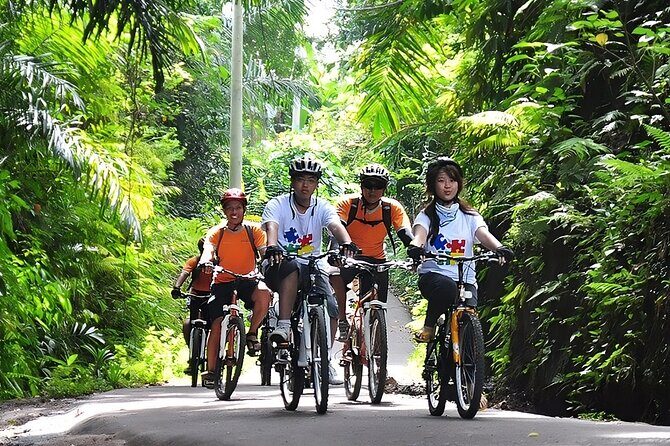 Bali Cycling and Ubud Waterfall Tour - Who Should Consider This Tour?