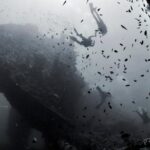 Bali Diving Day Trip-Manta Point/Tulamben Shipwreck-Fun Dive - What Makes This Tour Stand Out?