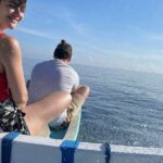 Bali : Dolphin Sunrise Experience Tour Private All Inclusive - Real Traveler Perspectives