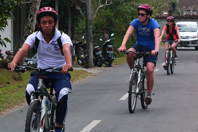 Bali Downhill Cultural Cycling Tour - Price and Value: Is It Worth It?