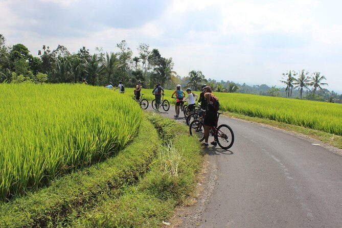 Bali Downhill Cycling and White Water Rafting - The Sum Up