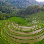 Bali Drone Photography Tour - The Value of the Bali Drone Photography Tour