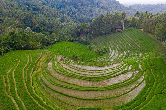 Bali Drone Photography Tour - The Value of the Bali Drone Photography Tour