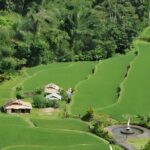 Bali Full-Day Car Charter: Beauty of North Bali Tour - Who Should Consider This Tour?